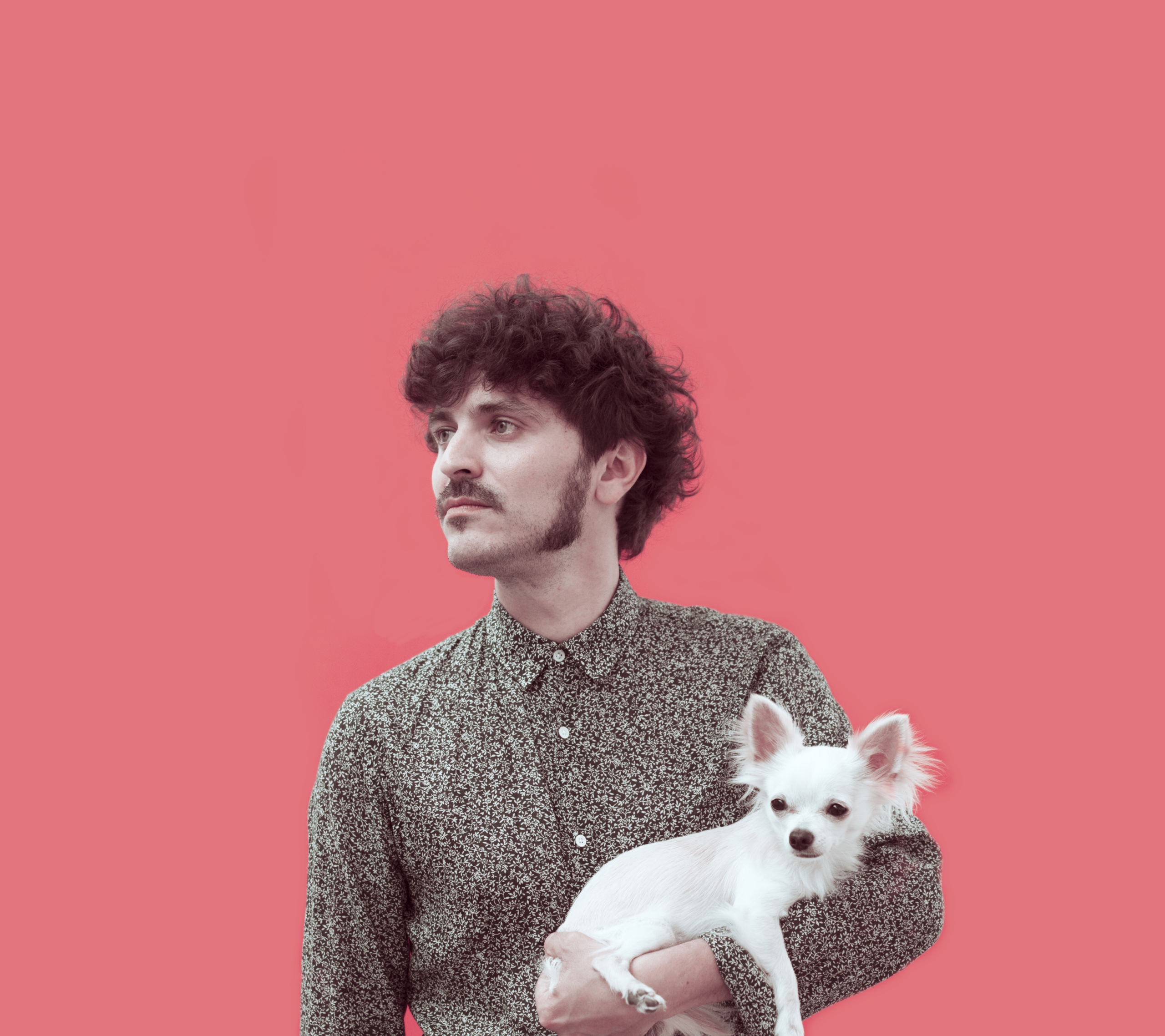 SEBE - LE MANS POP FESTIVAL